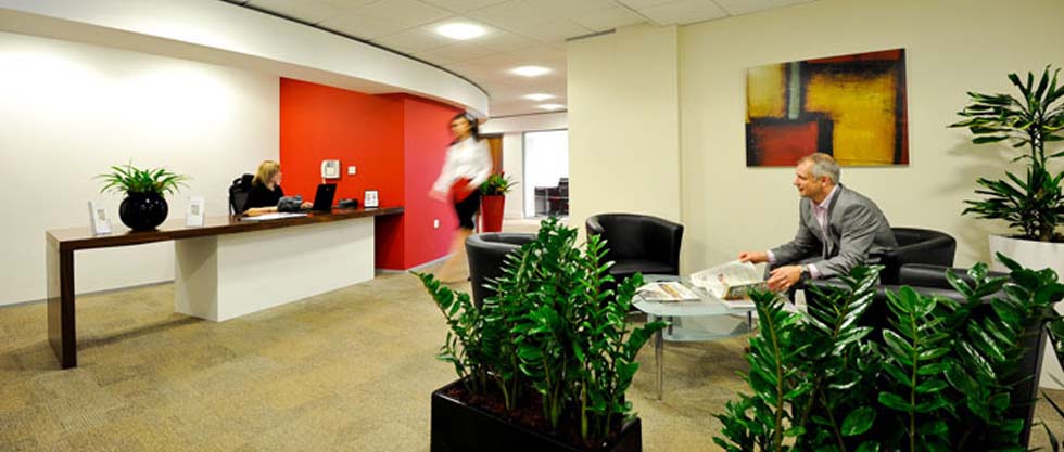 Get a Registered Office Address from £9.80